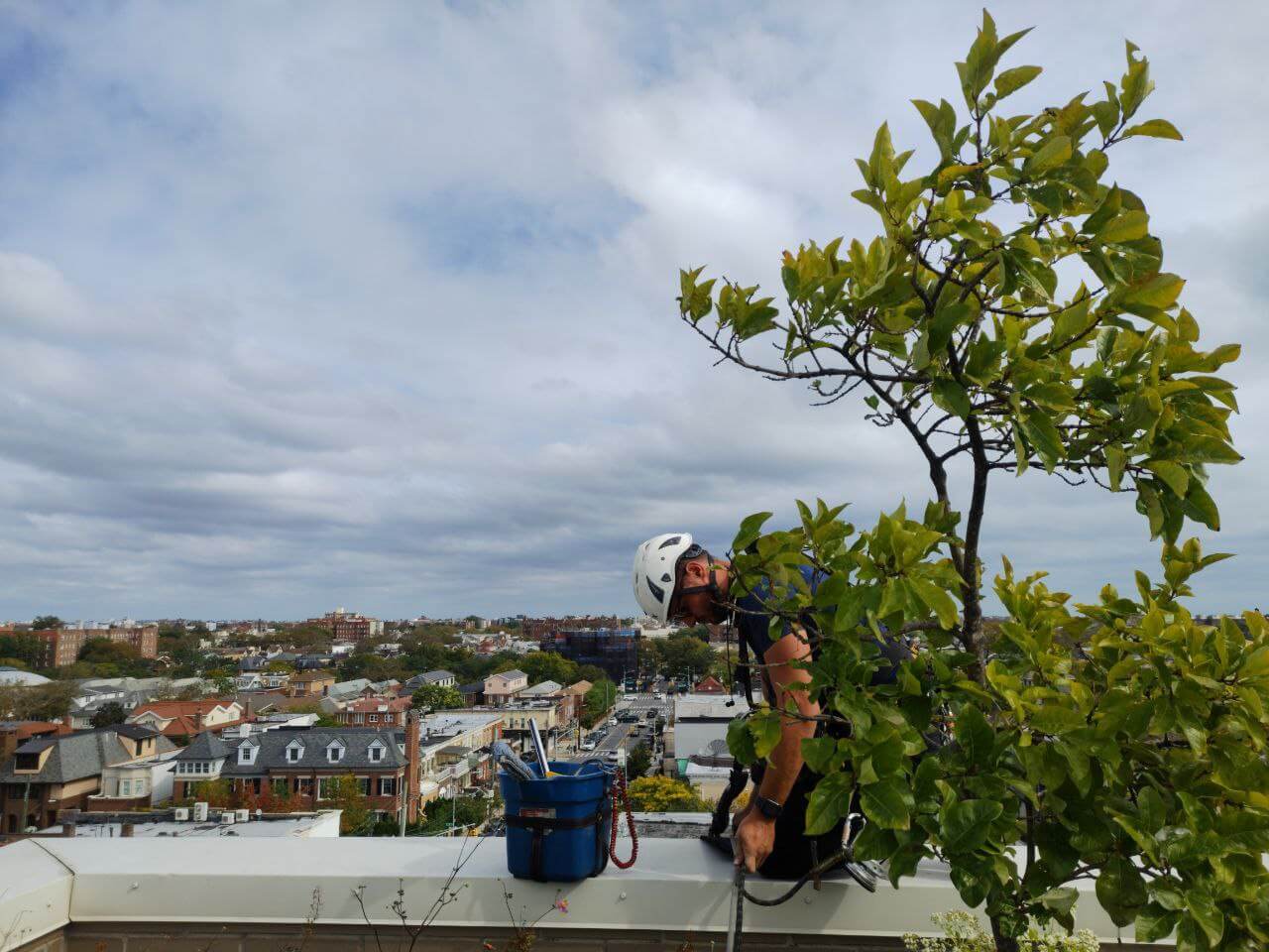 Understanding Industry Standards and Regulations: Guide to the ...