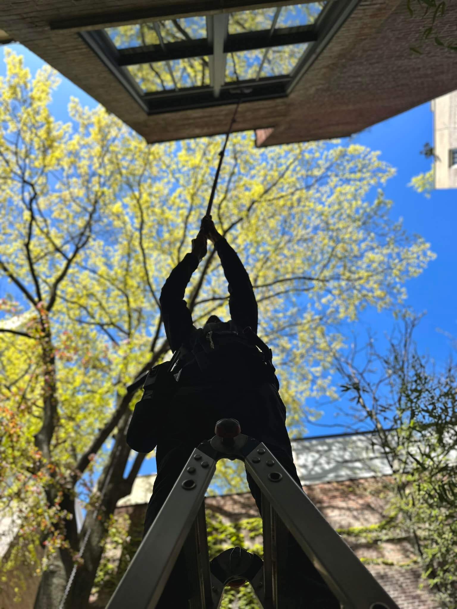 The Essential Guide to Traditional Window Cleaning Tools: Timeless ...